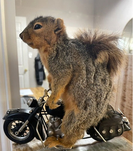 Conversation Pieces - BSTrading