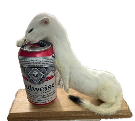 Conversation Pieces - BSTrading