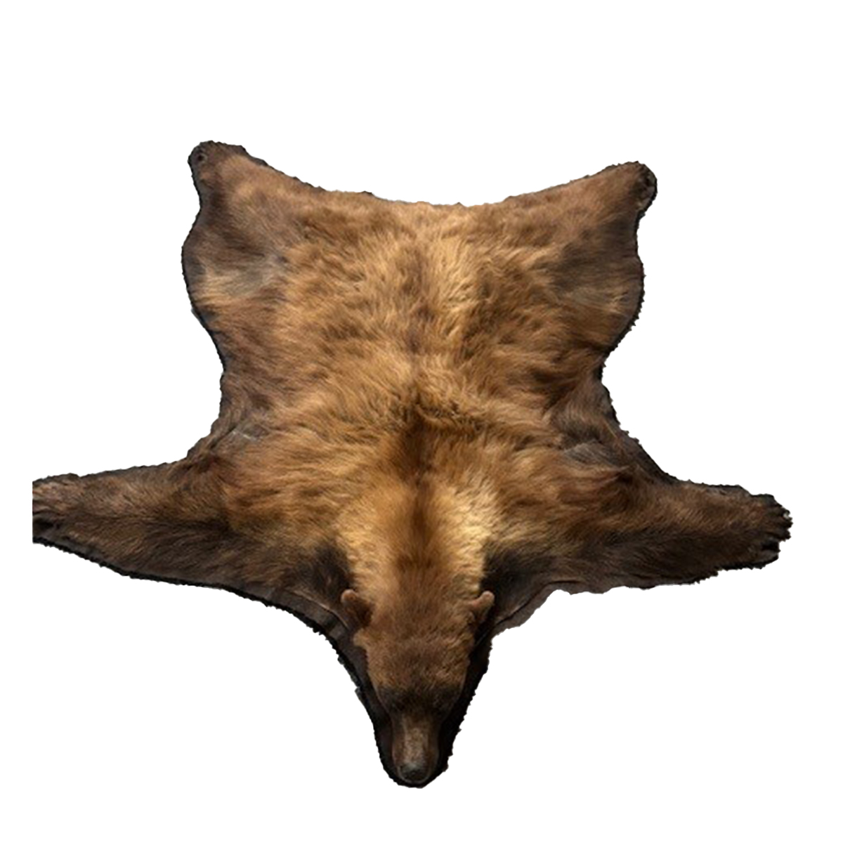 Bear Rug - BSTrading