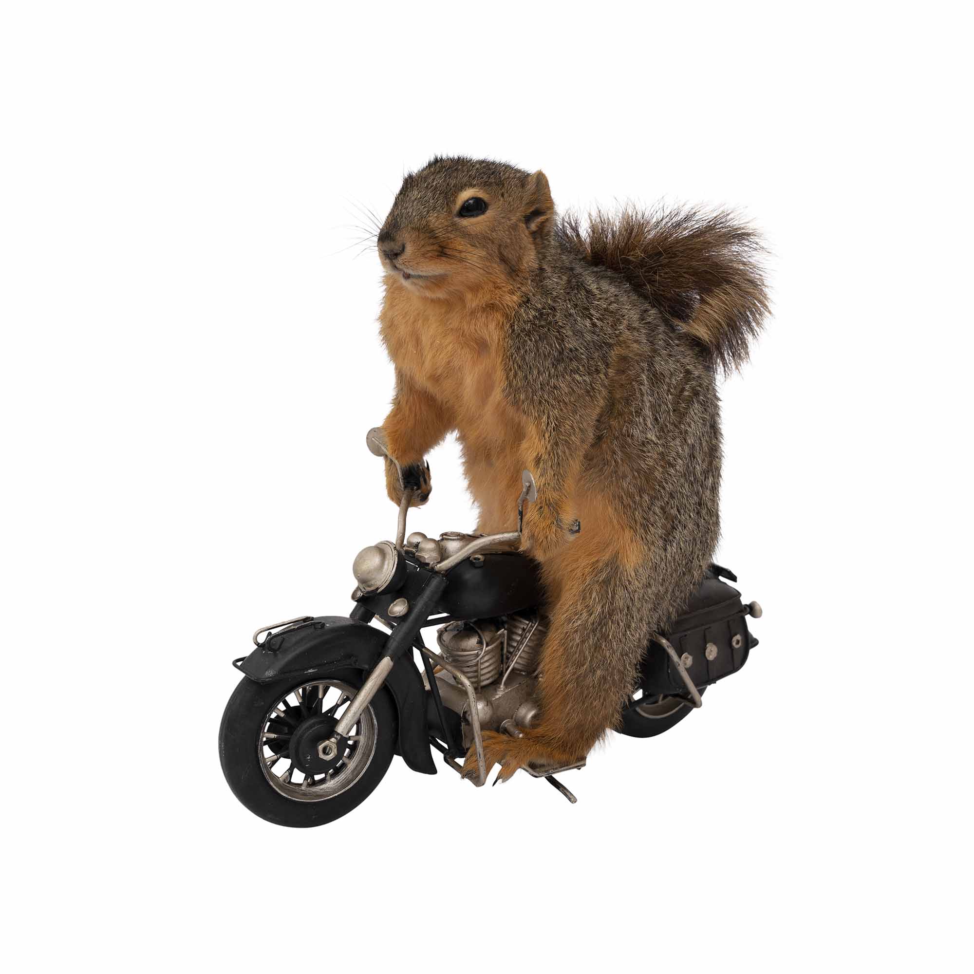 Conversation Pieces - BSTrading