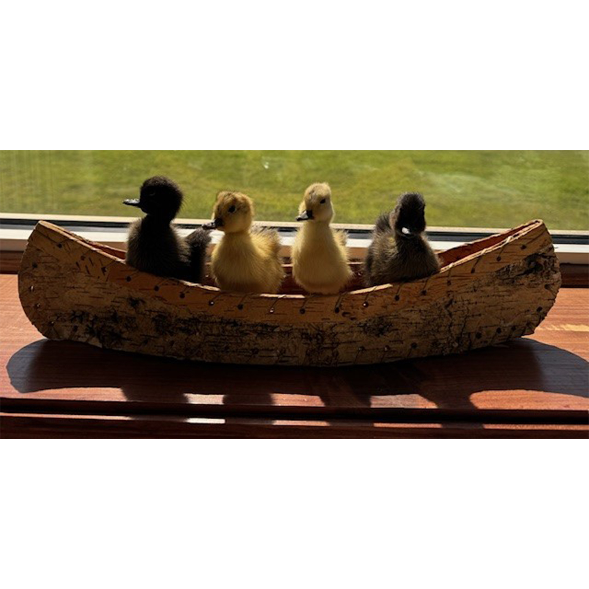 Conversation Pieces - BSTrading