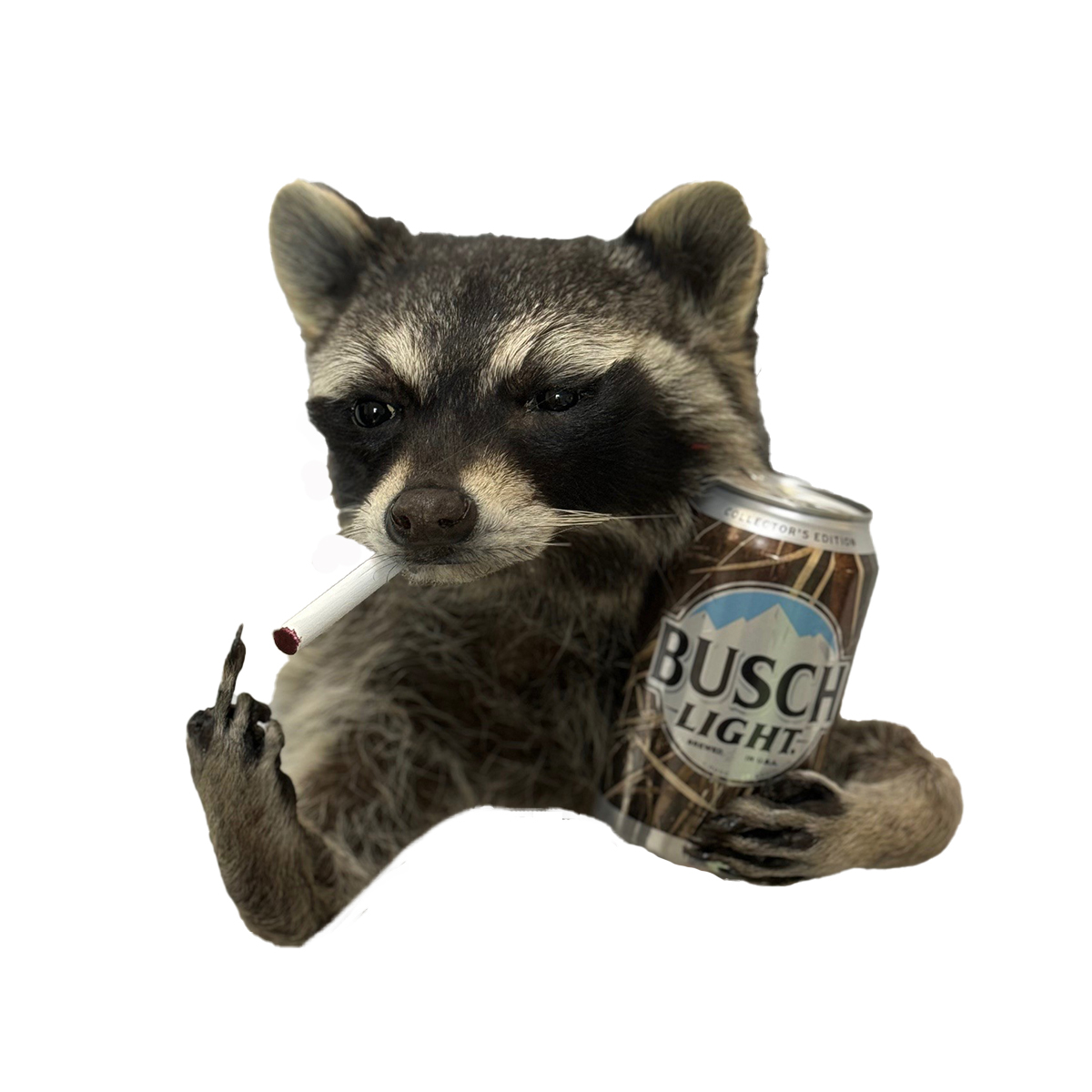 Conversation Pieces - BSTrading