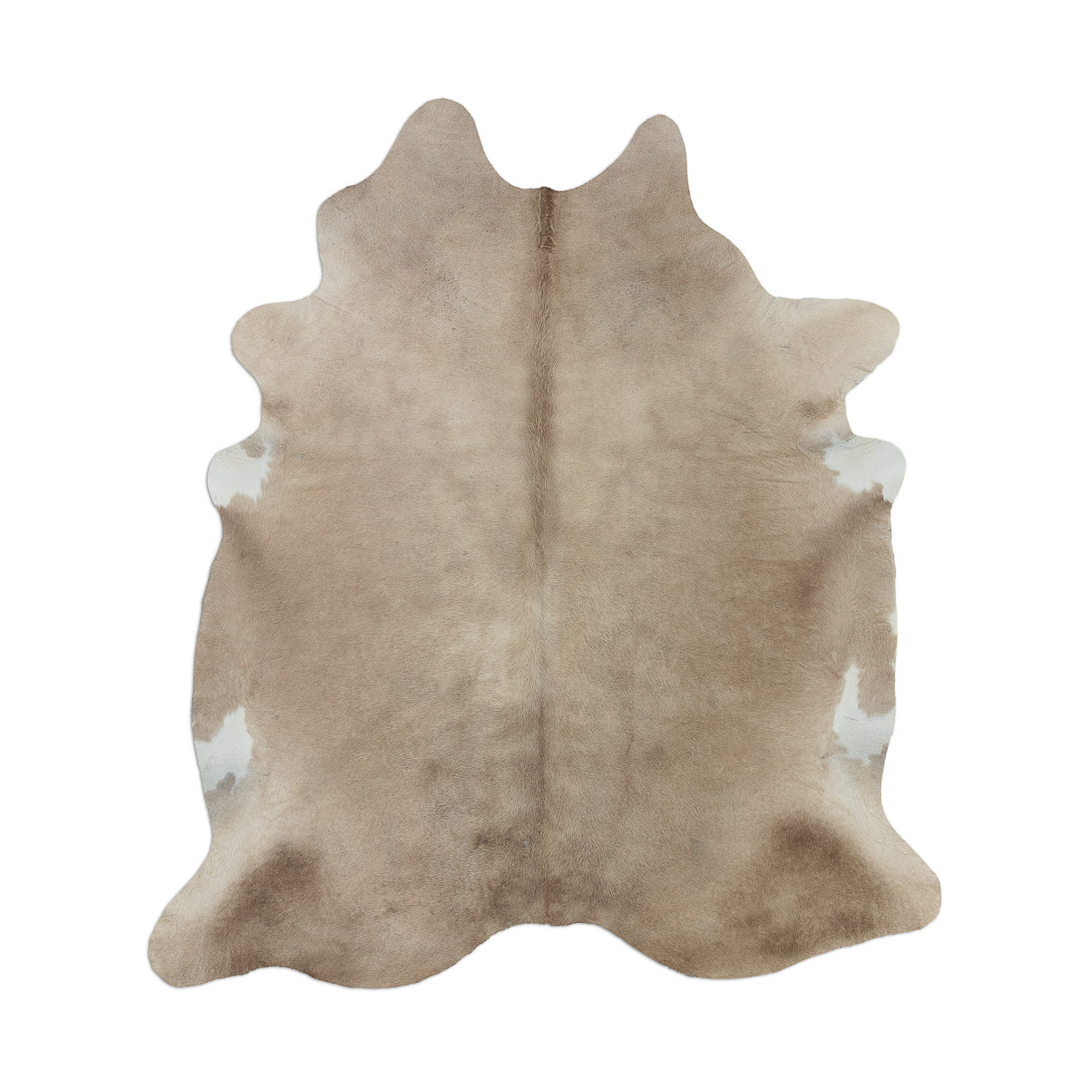 MD Champagne - BSTrading